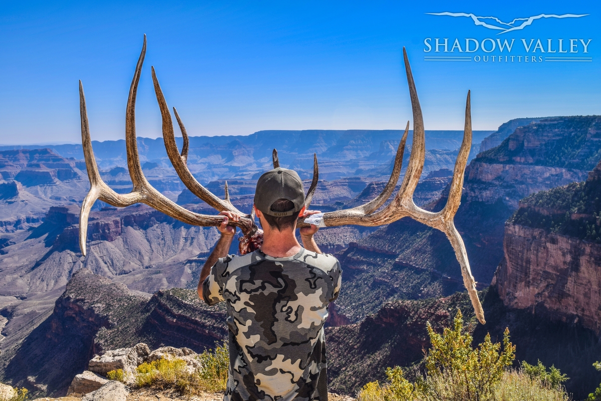 Shadow Valley Outfitters Elk Photo Gallery